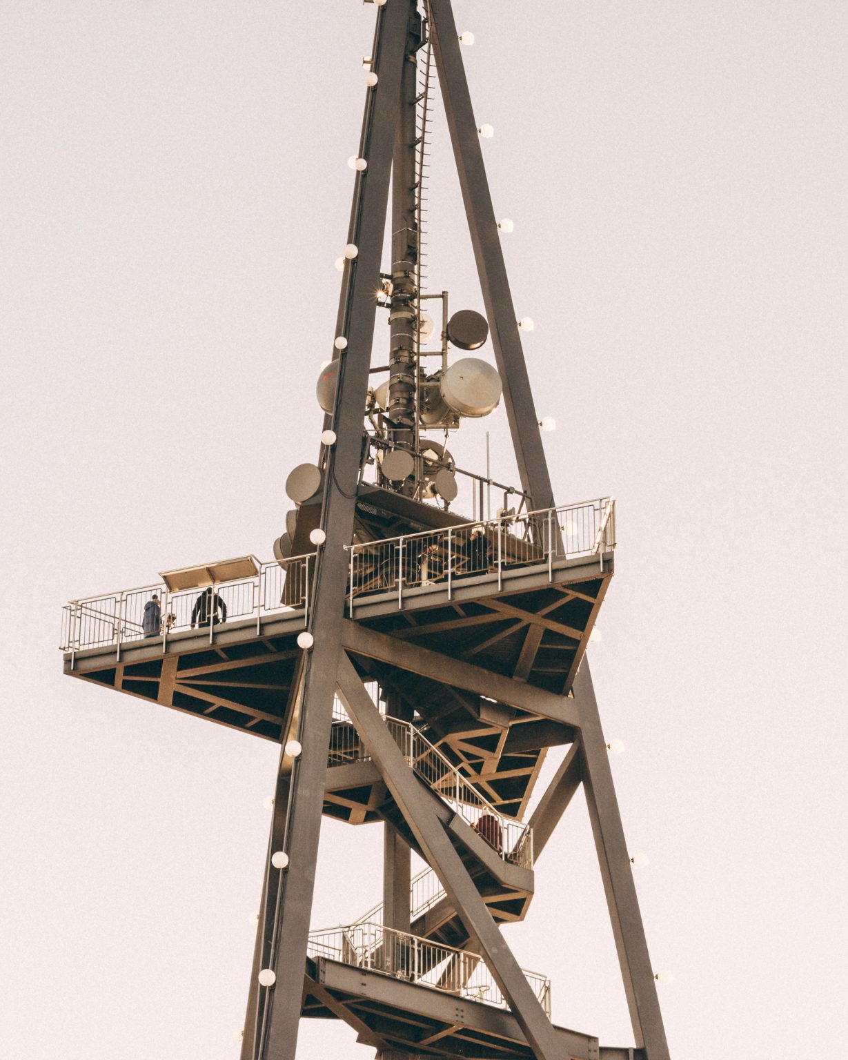 Services – TRF Solutions